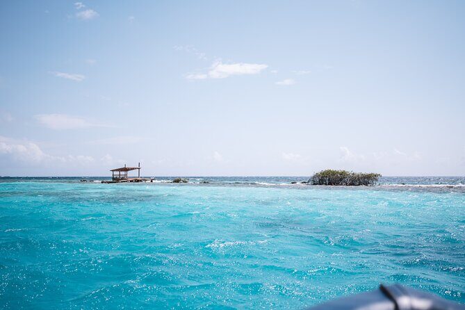 HalfDay Private Snorkel & Mangrove Experience  Local Host - What You Can Expect at Each Stop