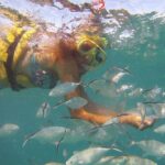 Happy Hour Sailing Cruise from Punta Cana - The Experience: Pros and Cons