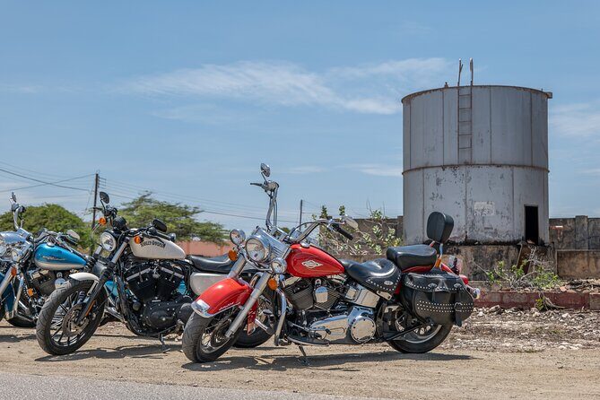 Harley-Davidson RENTALS ONLY 4 hrs - What to Expect on Your Harley-Riding Adventure