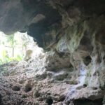 Hidden Gems of the North, Puerto Rico Private Tour - Authentic Experiences and Authentic Guides