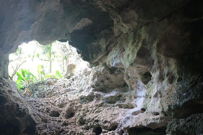 Hidden Gems of the North, Puerto Rico Private Tour - Authentic Experiences and Authentic Guides