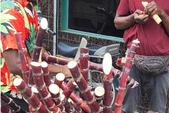 Higuey expedition cultural and historical tour from Punta Cana - Practical Details and Logistics