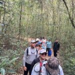 Hike Manantial De Guayaney Moderate Adventure - The Itinerary in Detail: What to Expect