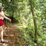 Hiking Adventure Through Grand E'tang RainForest - An In-Depth Look at the Rainforest Journey