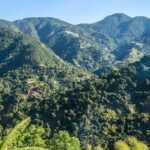 Hiking in the Blue Mountains. - Exploring the Itinerary: What to Expect