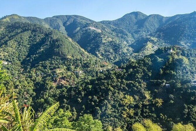 Hiking in the Blue Mountains. - Exploring the Itinerary: What to Expect