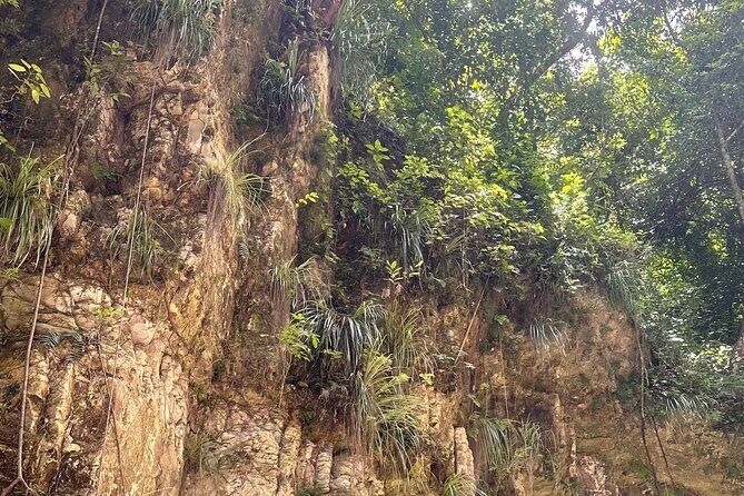 Hiking the 27 Waterfalls of Damajagua Tour from Santo Domingo - Transportation and Group Size