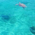 Honor Roll Private Bahamas Boat Charter - Who Should Consider This Tour?