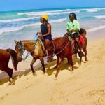 Horse Back Riding Adventure in Punta Cana - The Itinerary: What You Can Expect