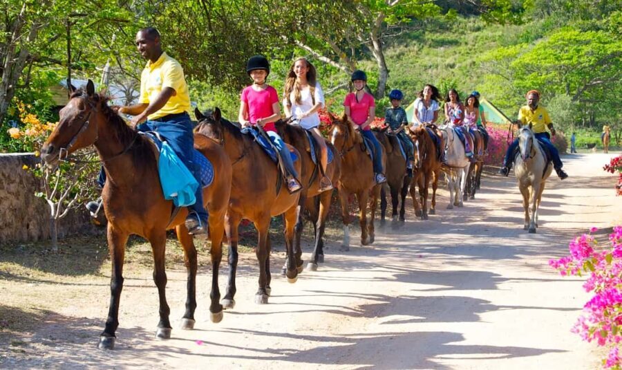 Horseback Ride and Swim Excursion - Scenic Ride Through Rural Jamaica