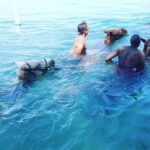 Horseback Ride and Swim From Ocho Rios - The Sum Up