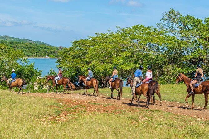 Horseback Ride and Swim from Ocho Rios - What You Can Expect from the Tour