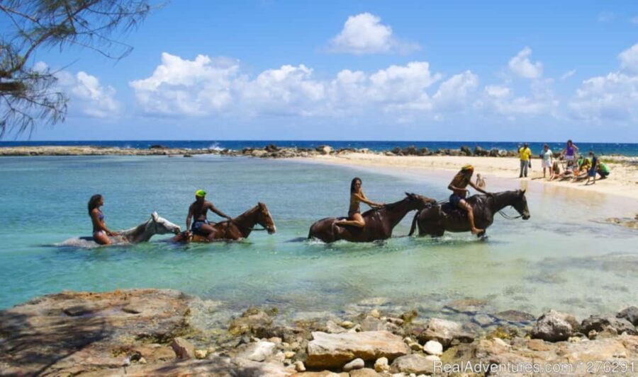 Horseback Ride and Swim Ocho Rios: Jam West Hanover - What to Expect from the Horseback Ride and Swim Experience