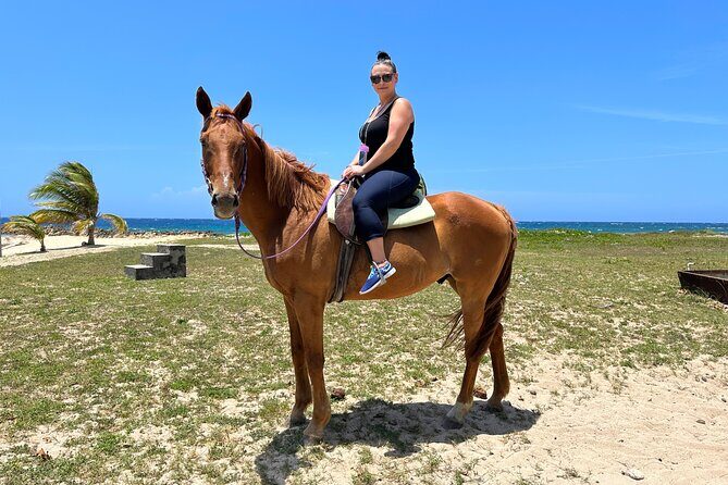 Horseback Ride and Swim Private Tour In Montego Bay - What’s Included and What’s Not