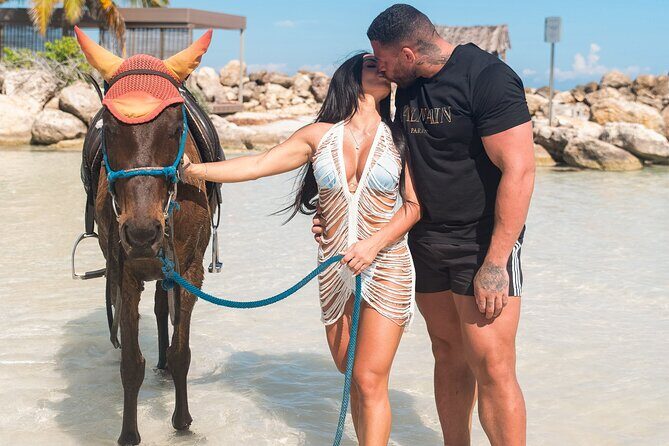 Horseback Ride and Swim Tour In Montego Bay - Who Will Love This Tour?