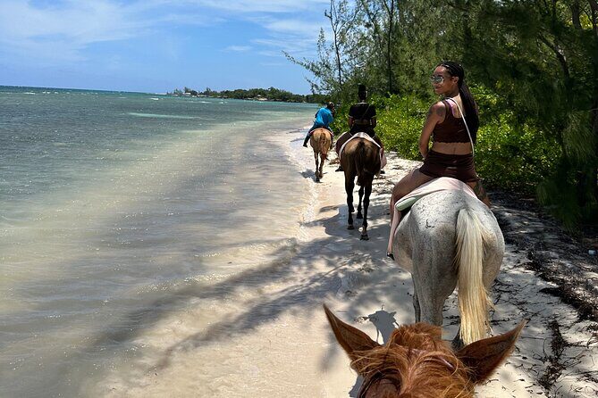 Horseback Ride and Swim Tour In Montego Bay - Authentic Experiences and Authenticity