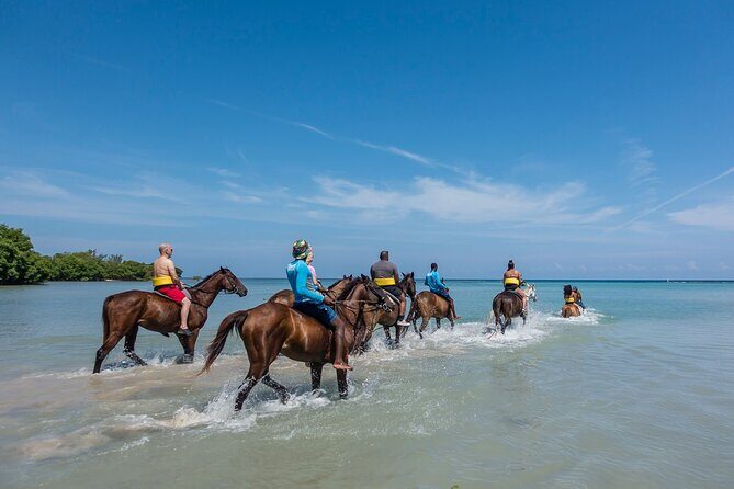 Horseback Ride, City Highlight Tour Ocho Rios(Entry fee included) - Who Should Consider This Tour?