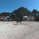 Horseback ride n Swim - FAQ