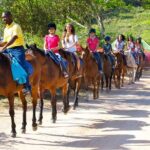Horseback Ride n Swim and Green Grotto Adventure Tour from Falmouth - Who Will Love This Tour?