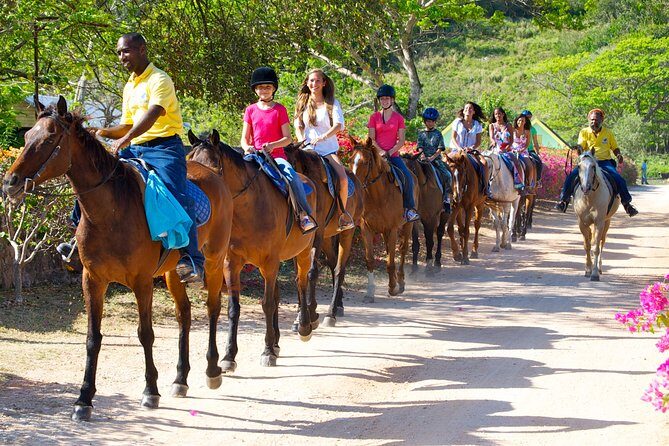 Horseback Ride n Swim and Green Grotto Adventure Tour from Falmouth - Who Will Love This Tour?