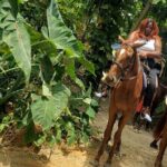 Horseback 'Ride N Swim' & Dunns River Falls from Montego Bay - What Travelers Are Saying