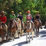 Horseback Riding Adventure in Punta Cana - The Scenic Highlights: Beaches and Countryside