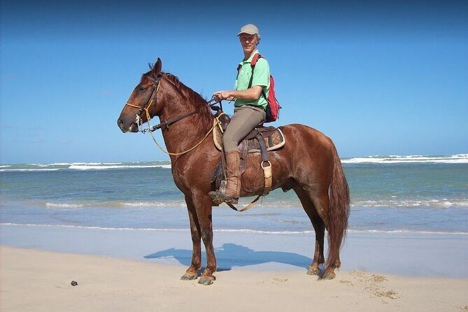 Horseback Riding Adventure Punta Cana - The Experience from Start to Finish