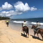 Horseback Riding Adventure to Macao Alto Beaches in Punta Cana - Who Should Consider This Tour?