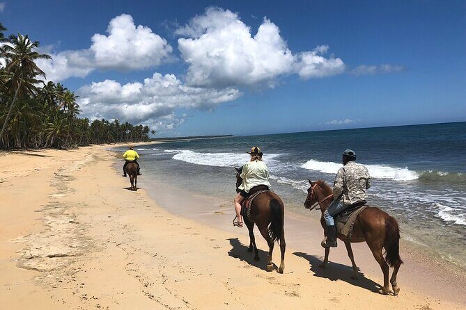 Horseback Riding Adventure to Macao Alto Beaches in Punta Cana - Who Should Consider This Tour?