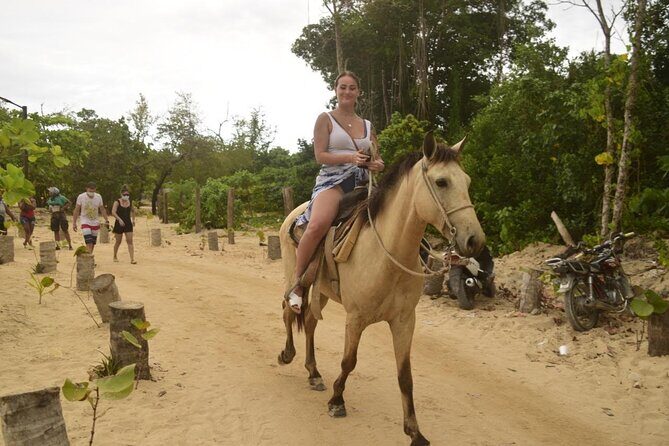 Horseback riding along Macao beach from Punta Cana - The Itinerary in Detail