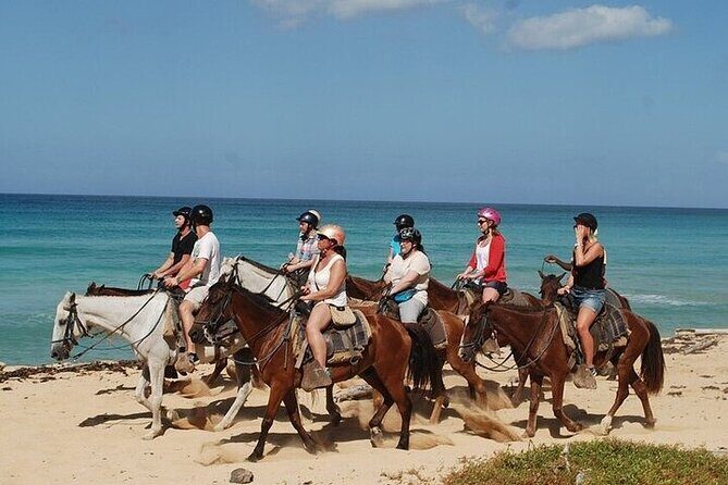 Horseback Riding Along the Beaches of Punta Cana and Macao - In-Depth Look at the Itinerary