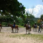 Horseback Riding and Swim from Montego Bay - Why This Tour Offers Good Value