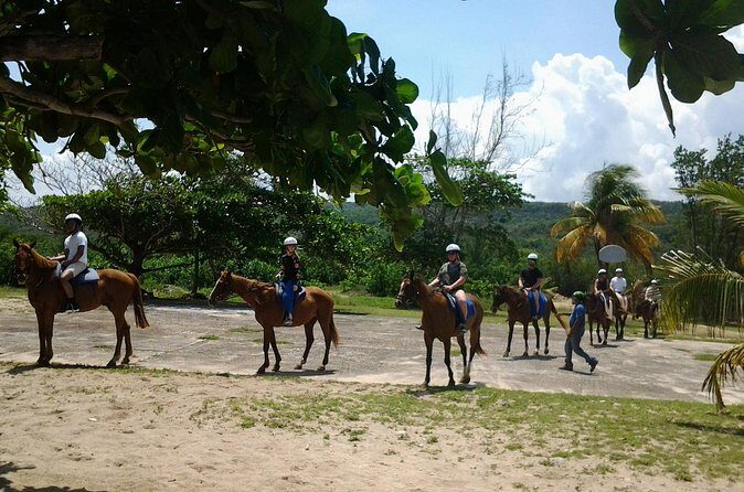 Horseback Riding and Swim from Montego Bay - Why This Tour Offers Good Value