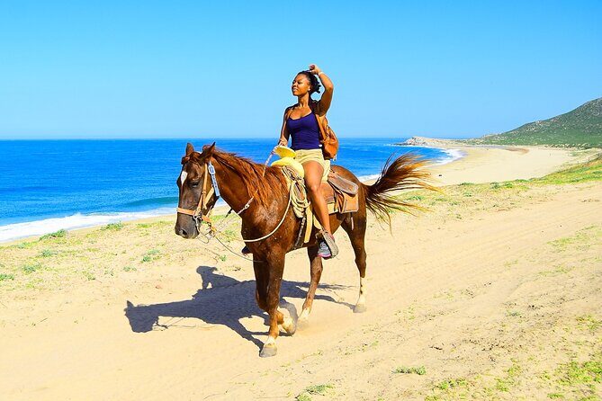 Horseback Riding Beach - The Sum Up