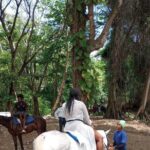 Horseback riding, Blue hole or Dunn's River Combo - Transportation and Flexibility