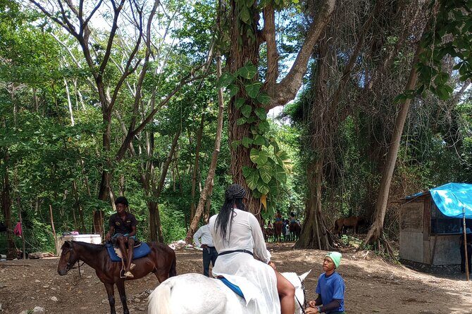 Horseback riding, Blue hole or Dunn's River Combo - Transportation and Flexibility