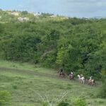 Horseback Riding Experience - Final Thoughts