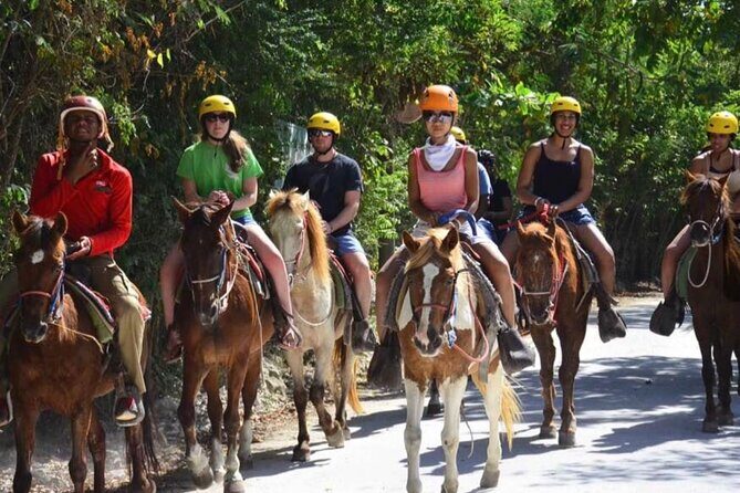 Horseback Riding Experience in Punta Cana - The Scenic Journey: Beaches and Fields