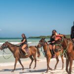 Horseback Riding in Montego Bay - Authenticity and Traveler Feedback