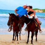 Horseback riding in punta cana beach and Bayahibe - What You Can Expect From the Tour