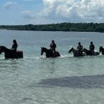 Horseback Riding in the Ocean from Ocho Rios & Runaway Bay - The Horseback Ride: From Land to Sea