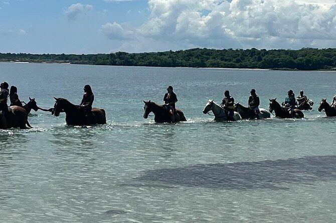 Horseback Riding in the Ocean from Ocho Rios & Runaway Bay - The Horseback Ride: From Land to Sea