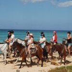 Horseback Riding on Punta Cana Beach with Transportation - Why Choose This Tour?