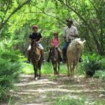 Horseback Riding on the Beach in Punta Cana (One Hour) - Practical Tips for Your Visit
