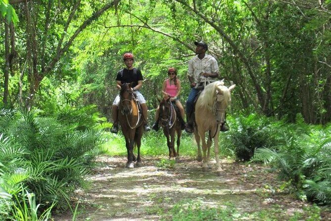 Horseback Riding on the Beach in Punta Cana (One Hour) - Practical Tips for Your Visit