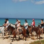Horseback Riding on the Beaches of Punta Cana - Who Will Love This Tour?