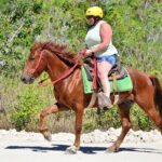Horseback Riding on the Stunning Beaches of Punta Cana - What’s Included and What’s Not