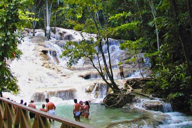 Horseback Riding plus Dunns River Falls Combo Private Tour - Authentic Jamaican Adventure for Curious Travelers