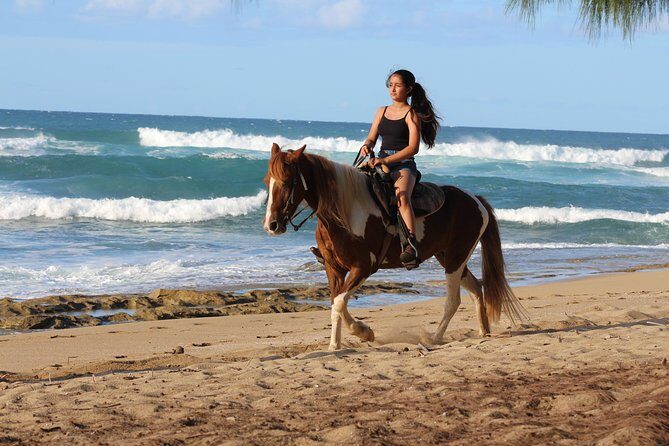 Horseback Riding through Secluded Beaches and Tropical Forests - Detailed Itinerary Breakdown