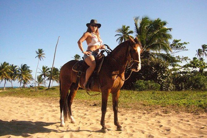 Horseback Riding Tour Adventure on the Beach - Authentic Feedback from Past Participants
